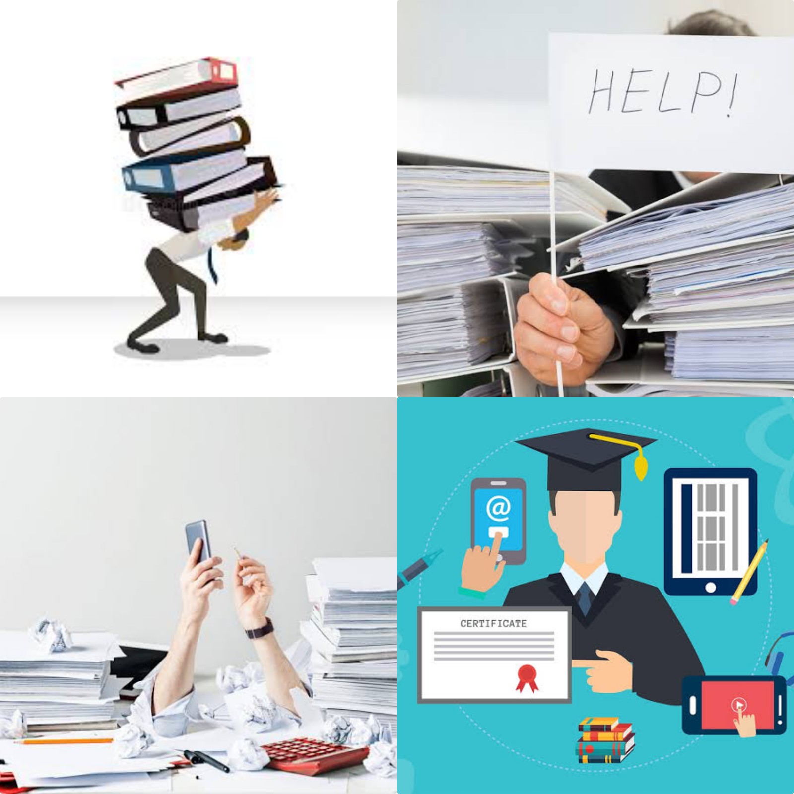 Academic workload: equal or not? - Med-zone TV